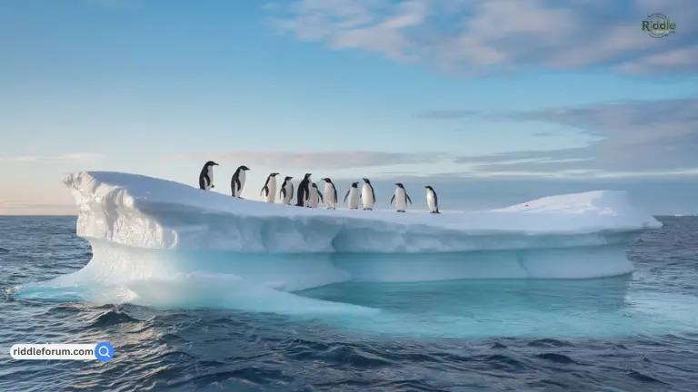 140 Smart Icebreaker Riddles to Get Everyone Talking